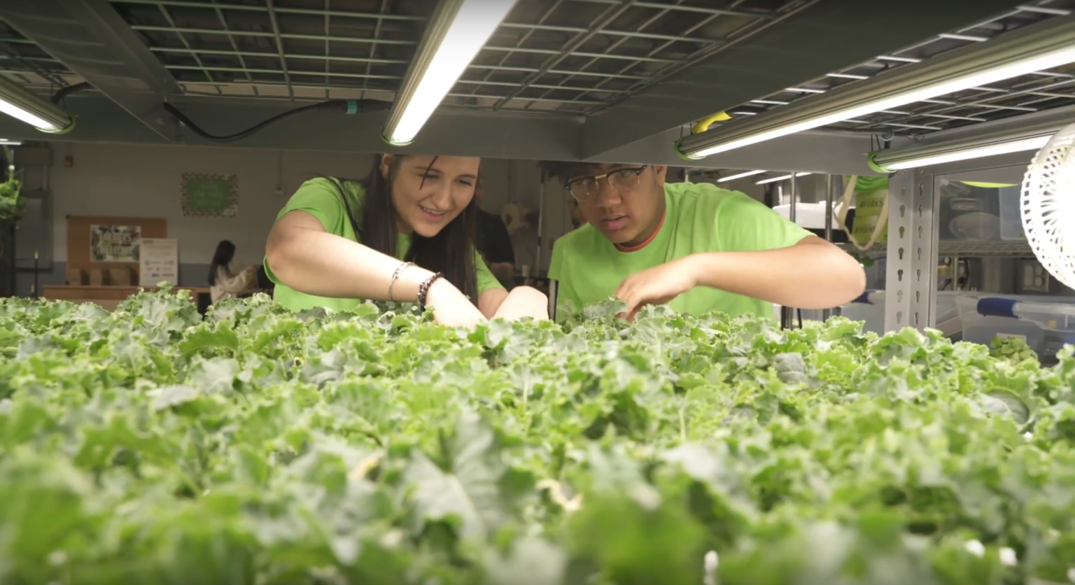 US (NY): Driving food security via educating high school students on ...